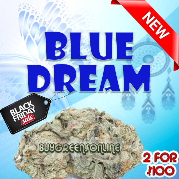 Blue Dream AAA (1oz) - Stay Home & BuyGreens